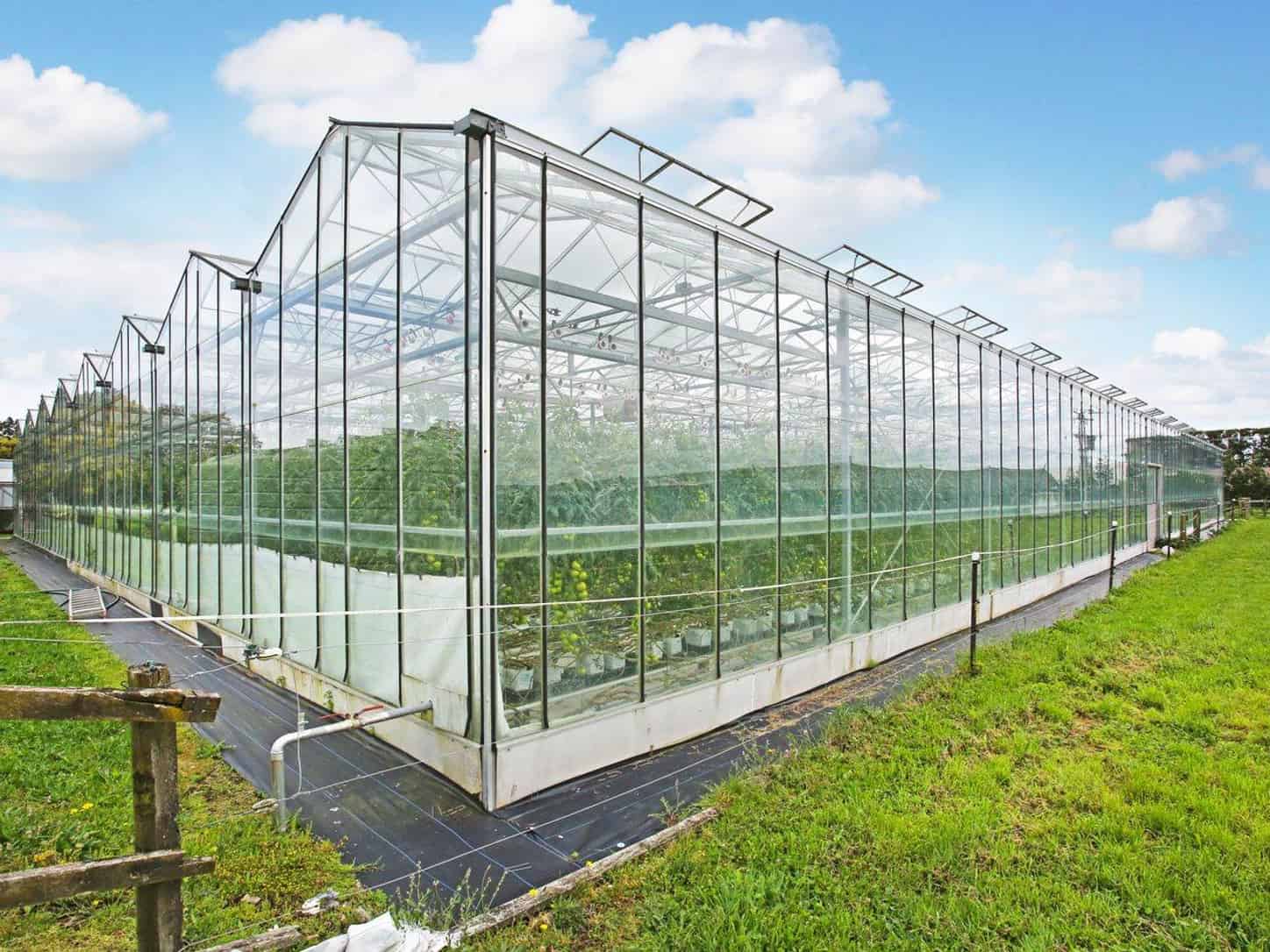 Auckland Rural Farms and Real Estate for Sale - realestate.co.nz