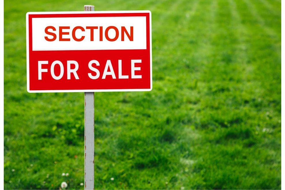 14 Hasted Road, Karaka, Franklin - For Sale - realestate.co.nz