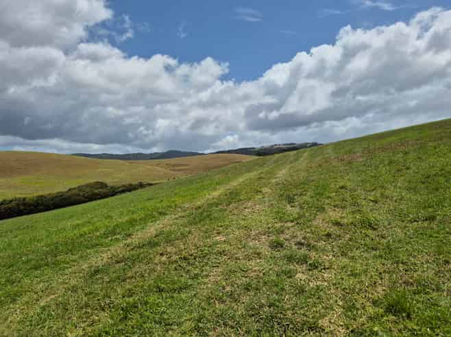 Matakana Homes and Real Estate for Sale - realestate.co.nz