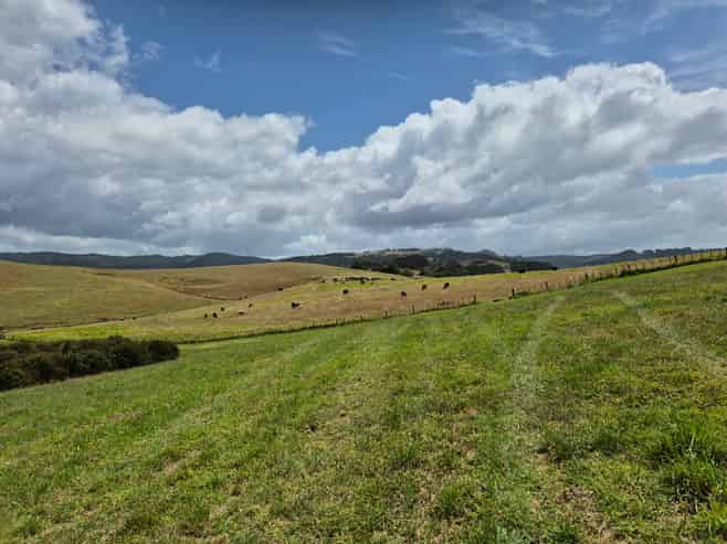 Matakana Homes and Real Estate for Sale - realestate.co.nz