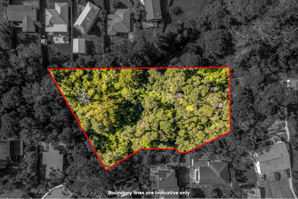 40D Konini Road, Titirangi, Waitakere City - For Sale - realestate.co.nz