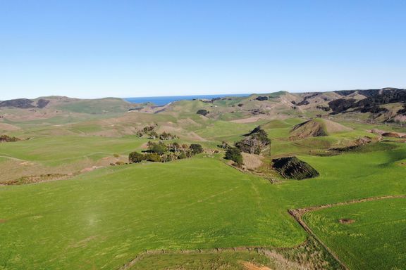 Sold - 274 Matira Road, Te Akau - realestate.co.nz