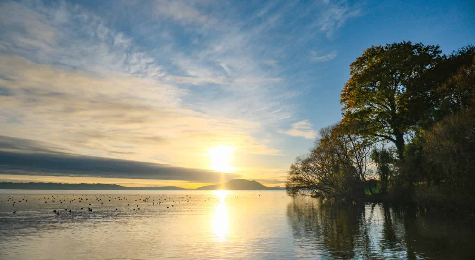 20 Tupara Crescent, Kawaha Point, Rotorua - For Sale - realestate.co.nz