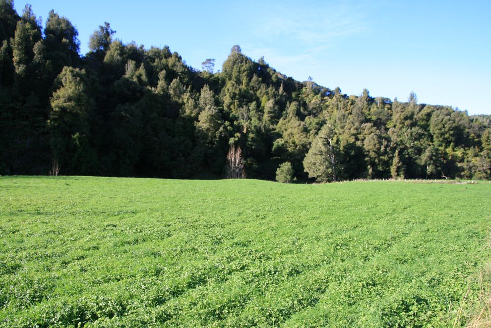 268 Piko Road, Okoki, New Plymouth - For Sale - realestate.co.nz