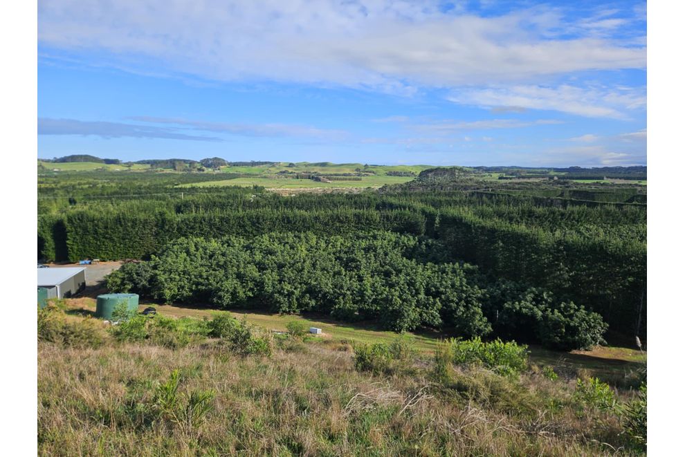 Heath Road, Waiharara, Far North - For Sale - realestate.co.nz
