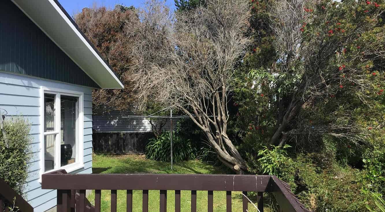 42 Ayton Drive, Whitby, Porirua City - For Rent - realestate.co.nz
