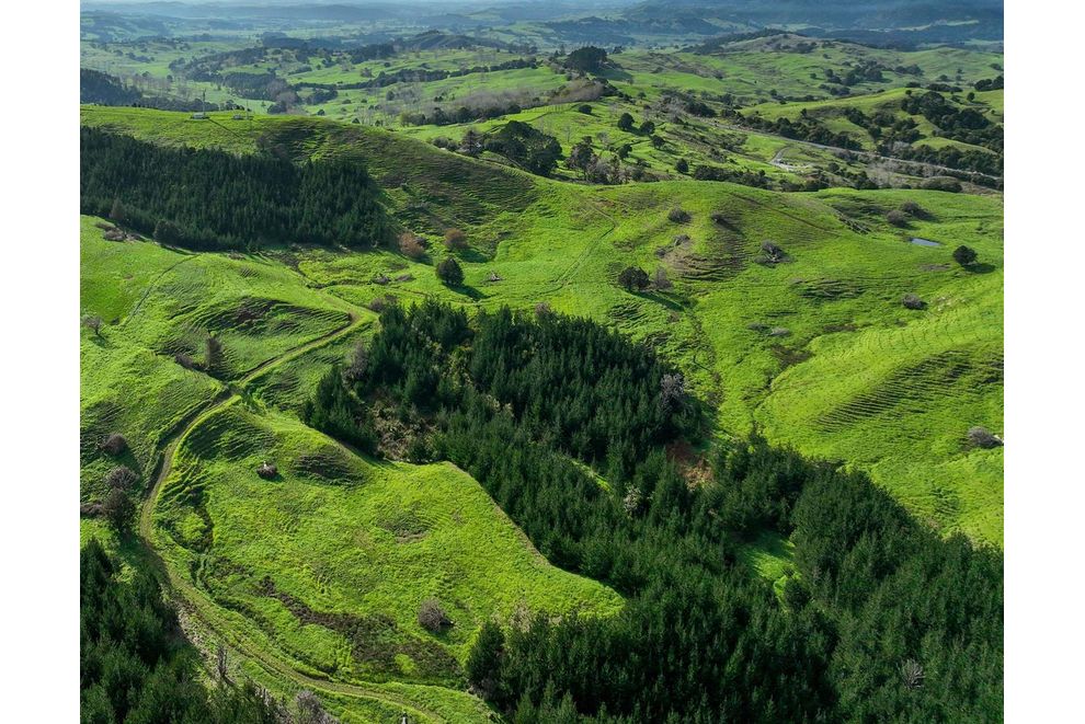 State Highway 14, Tangiteroria, Kaipara - For Sale - realestate.co.nz