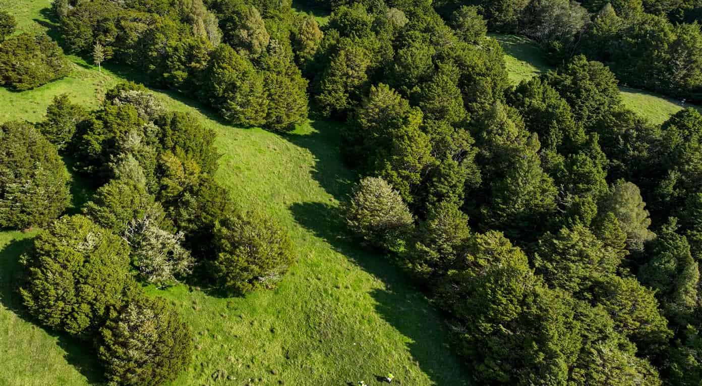 111 Paradise Road, Tangiteroria, Kaipara - For Sale - realestate.co.nz