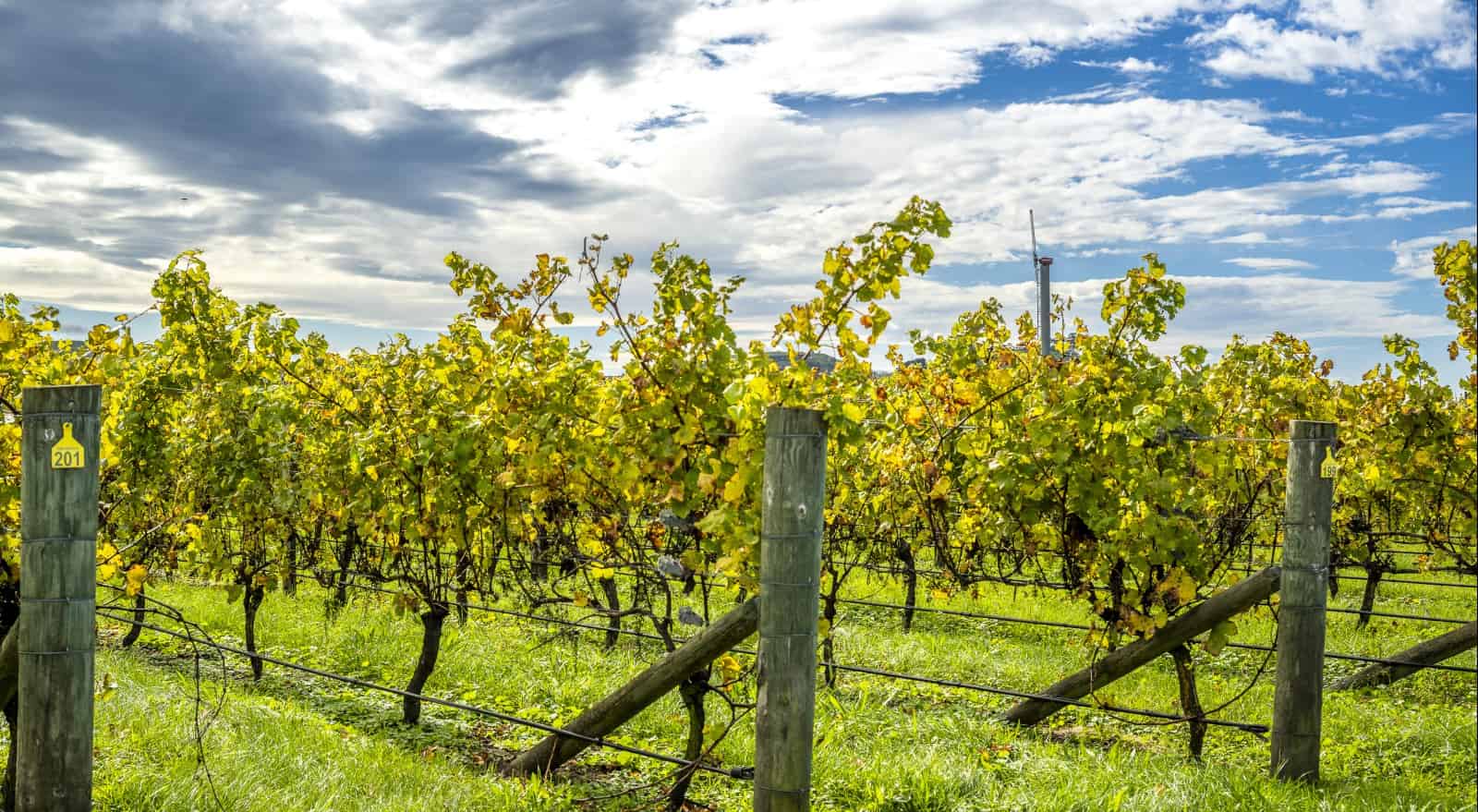 State Highway 50, Roys Hill, Hastings - For Sale - realestate.co.nz
