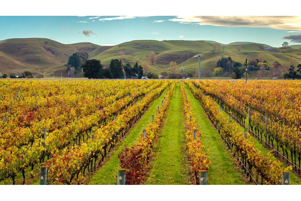 State Highway 50, Roys Hill, Hastings - For Sale - realestate.co.nz