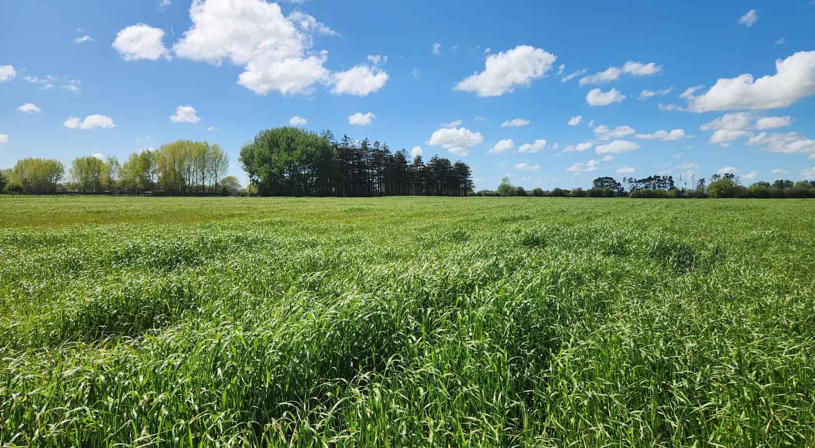 431 Horotiu Road, Te Kowhai, Waikato - For Sale - realestate.co.nz