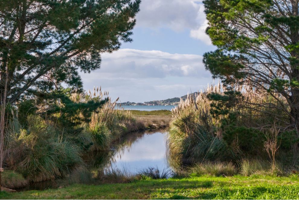 275 Athenree Road, Katikati, Western Bay Of Plenty - For Sale ...