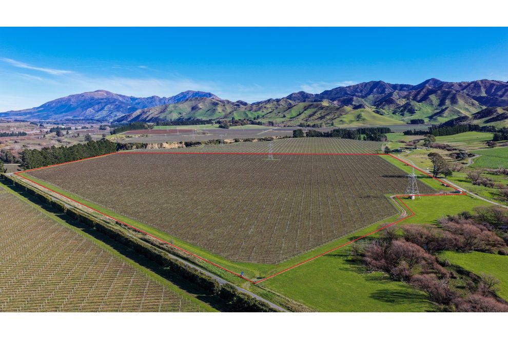 592 Awatere Valley Road, Awatere Valley, Marlborough - For Sale ...