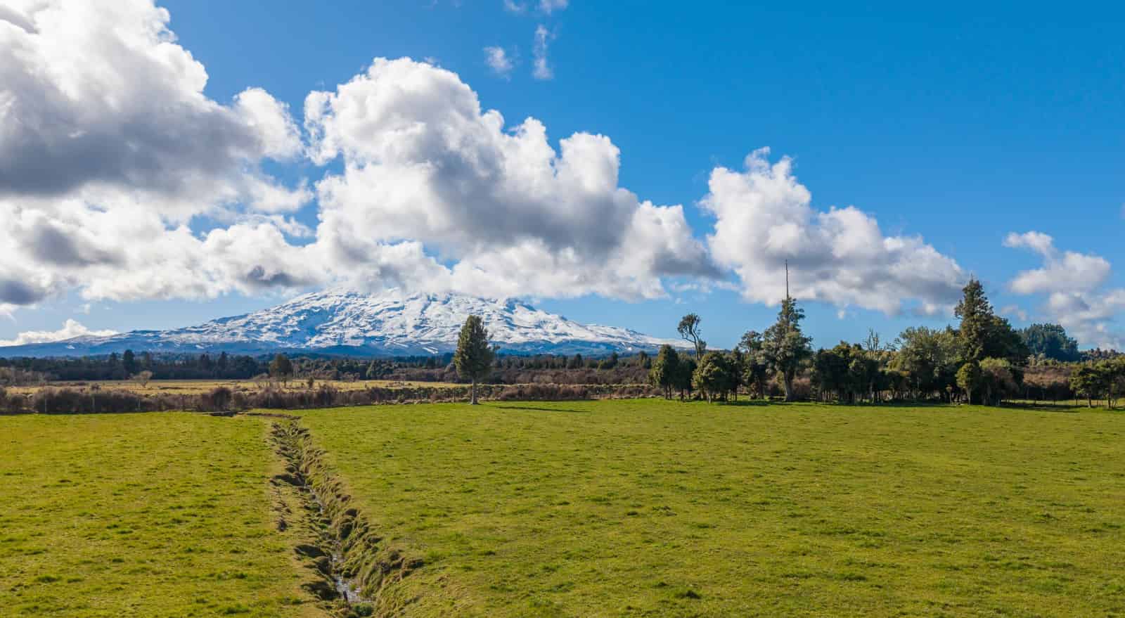 Lot 10, 136 Matapuna Road, Horopito, Ruapehu - For Sale - realestate.co.nz