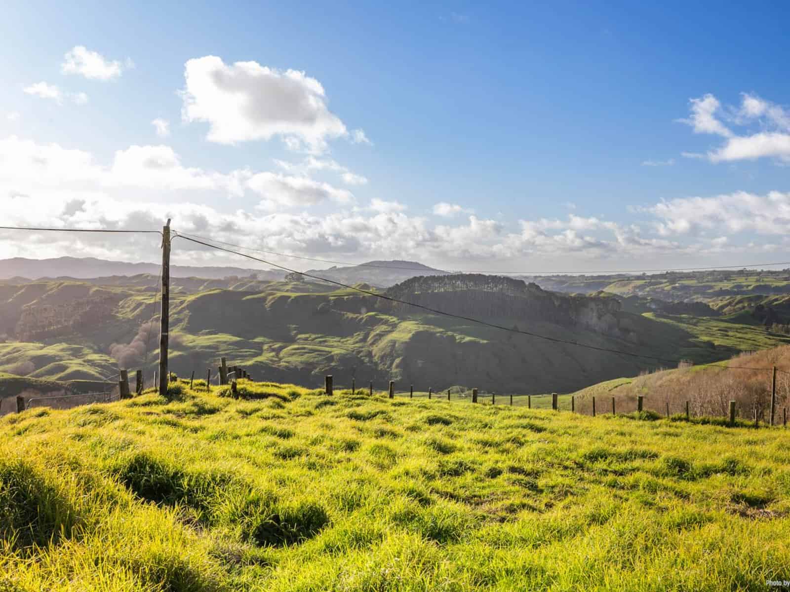 Auckland Rural Farms and Real Estate for Sale - realestate.co.nz