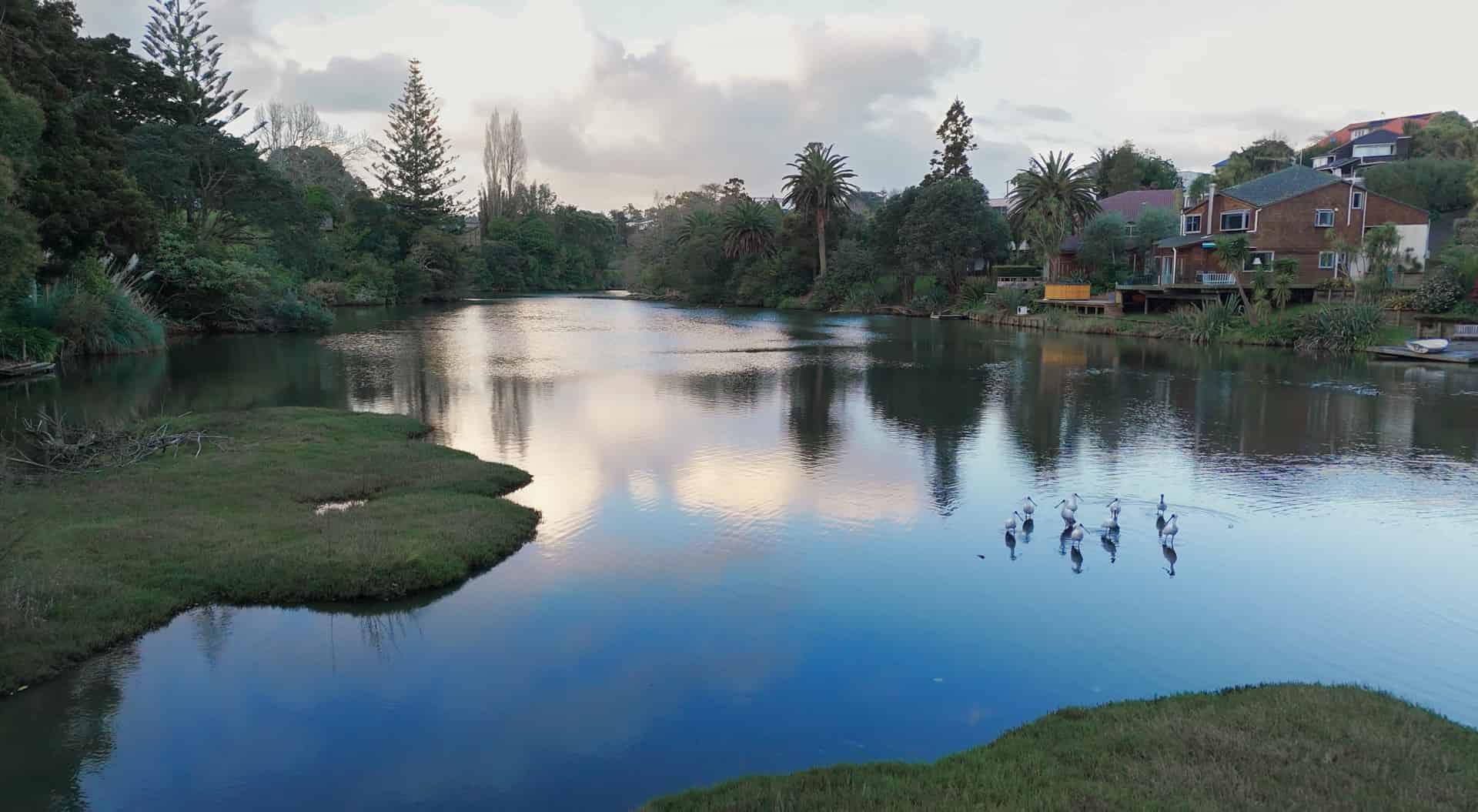 75A Ngapuhi Road, Remuera, Auckland City - For Sale - realestate.co.nz