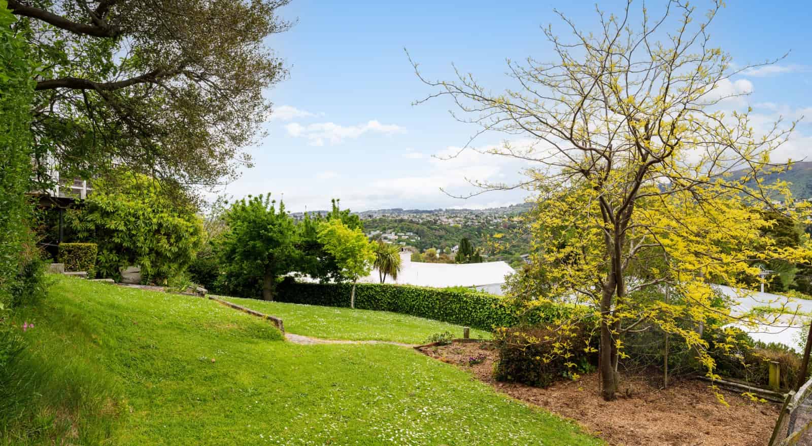 8a Windsor Street, Opoho, Dunedin City - For Sale - realestate.co.nz