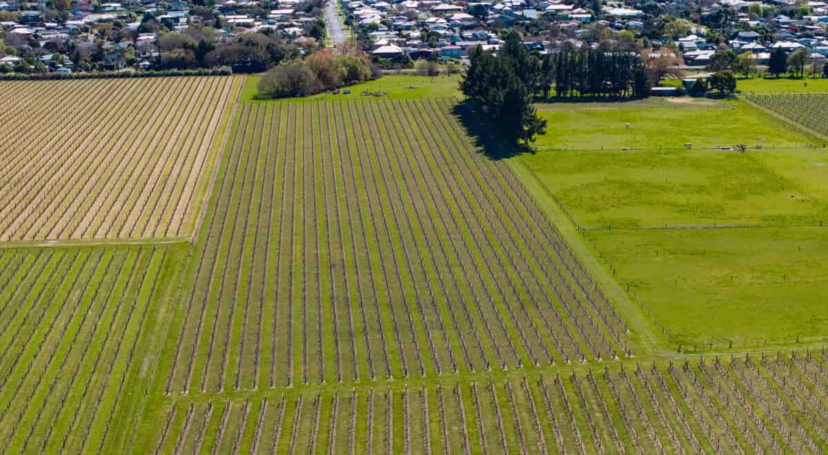 107 State Highway 63, Renwick, Marlborough - For Sale - realestate.co.nz