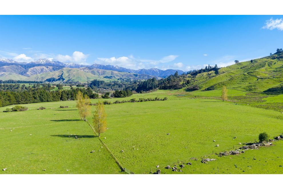 1139 Blackburn Road, Ongaonga, Central Hawkes Bay - For Sale ...