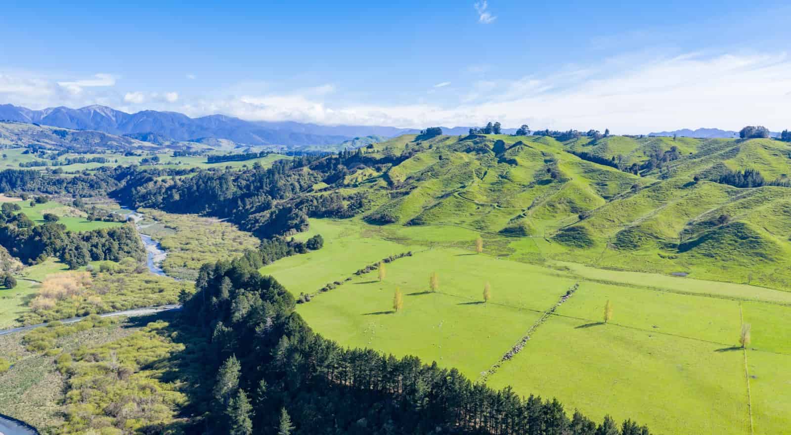 1139 Blackburn Road, Ongaonga, Central Hawkes Bay - For Sale ...