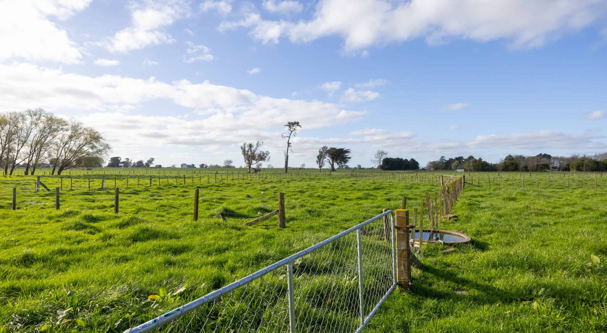582 Milson Line, Newbury, Manawatu - For Sale - realestate.co.nz