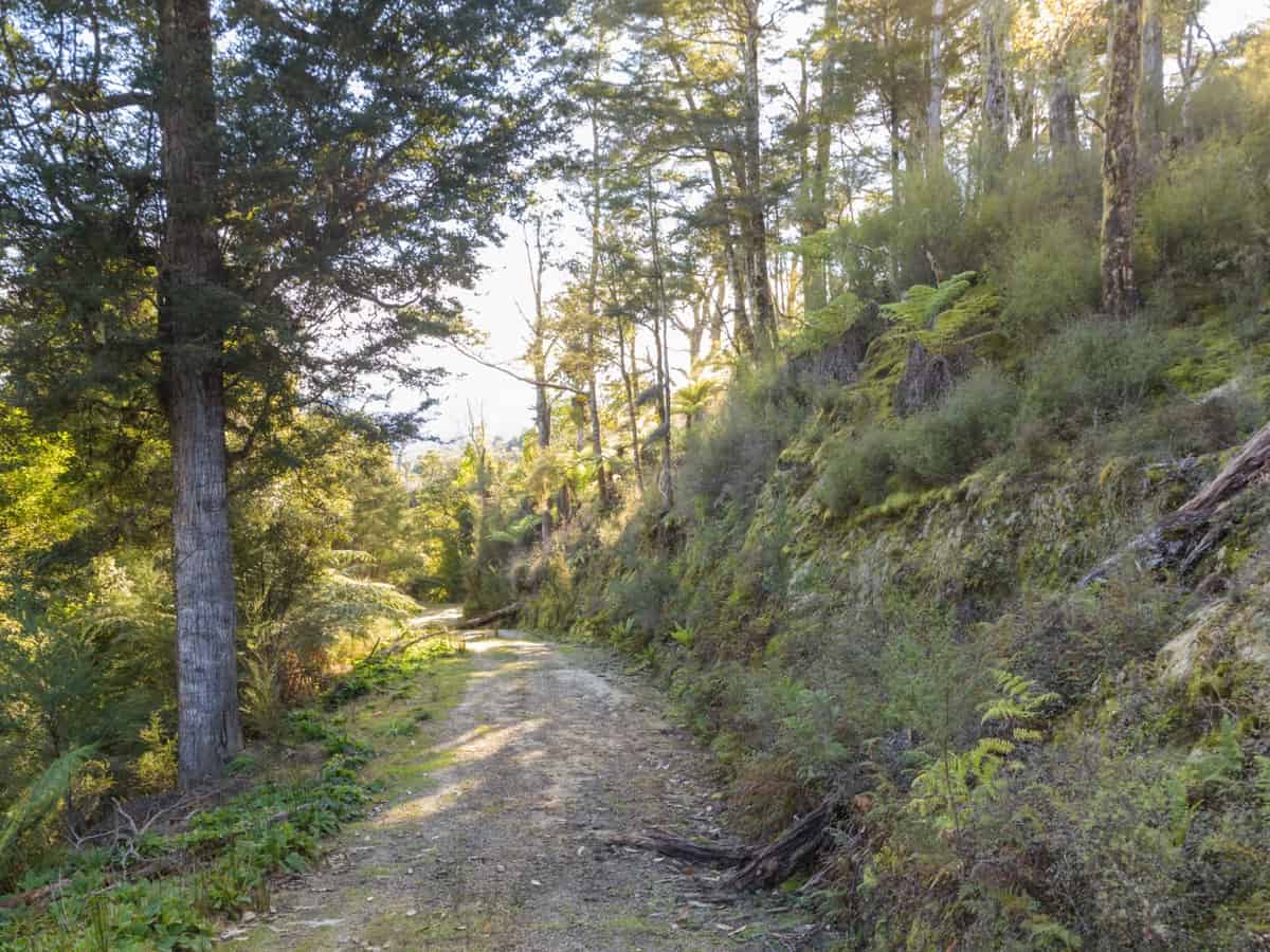 Taranaki Rural Farms and Real Estate for Sale - realestate.co.nz