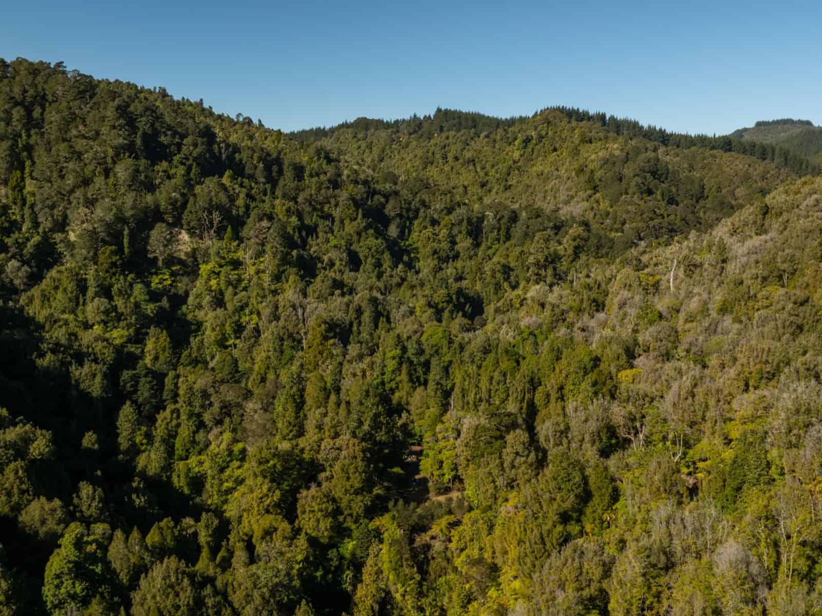 Taranaki Rural Farms and Real Estate for Sale - realestate.co.nz