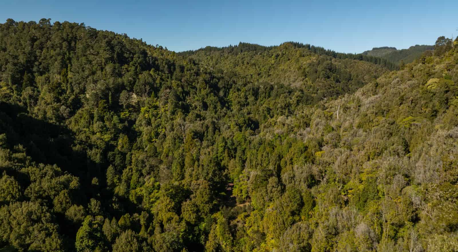 3008 Waitotara Valley Road, Waitotara, South Taranaki - For Sale ...