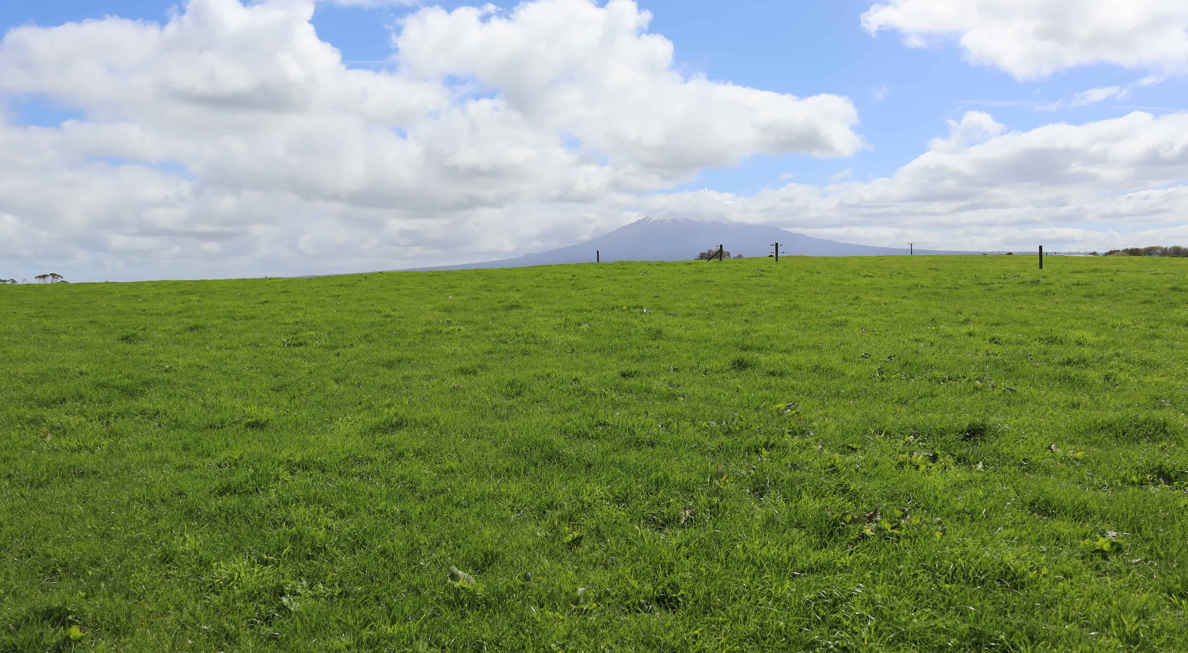 96 Lower Hunter Road, Hawera, South Taranaki - For Sale - realestate.co.nz
