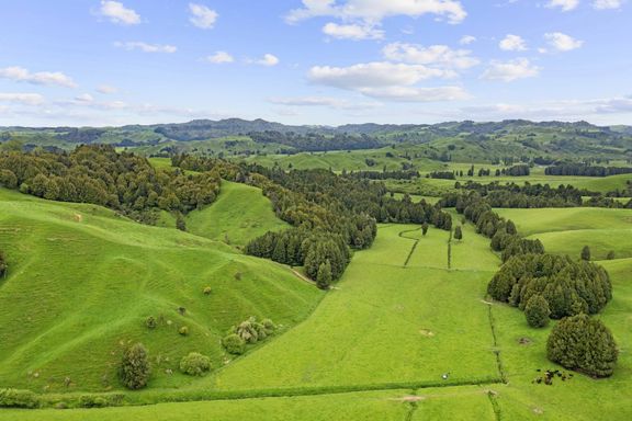 Property value - 878 Mokauiti Road, Aria - realestate.co.nz