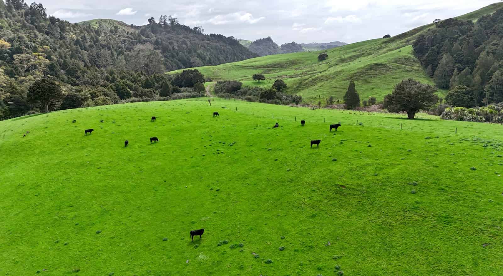 325 Haruru Road, Kaukapakapa, Rodney - For Sale - realestate.co.nz