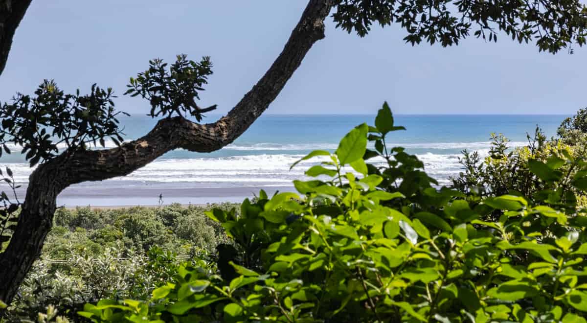 59 North Piha Road, Piha, Waitakere City - For Sale - realestate.co.nz