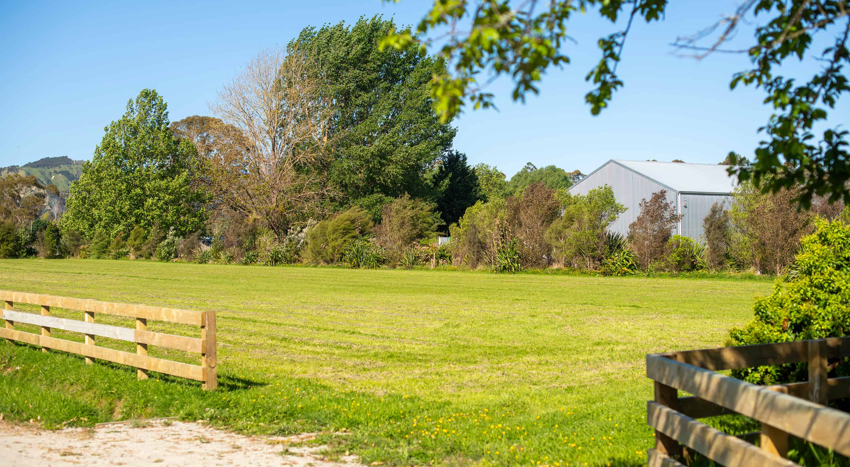 715 Back Ormond Road, Makauri, Gisborne - For Sale - realestate.co.nz