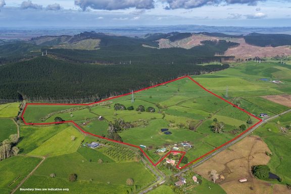 Property value - 8 Mackay Road, Maramarua - realestate.co.nz
