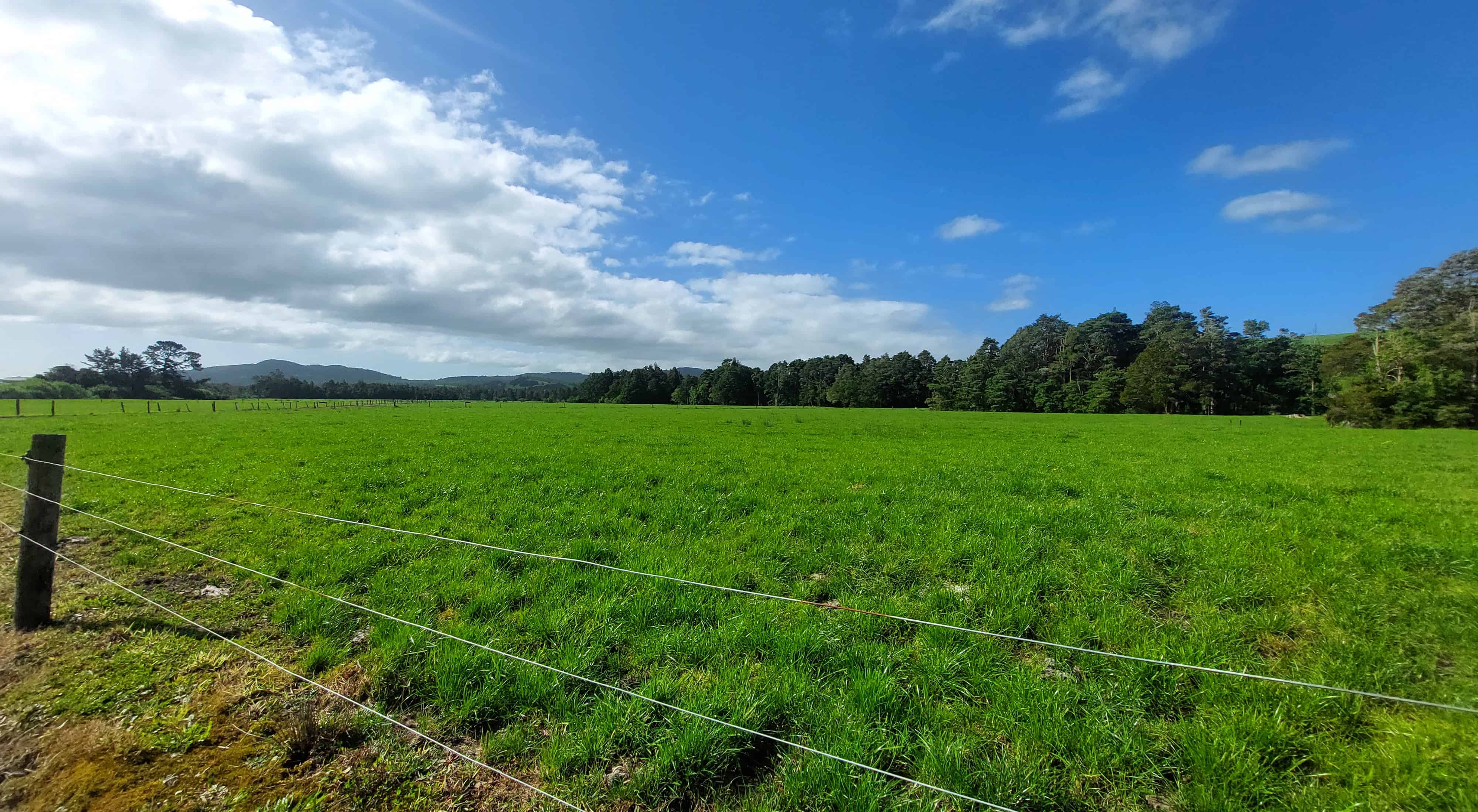 3308 State Highway 1, Hukerenui, Whangarei - For Sale - realestate.co.nz