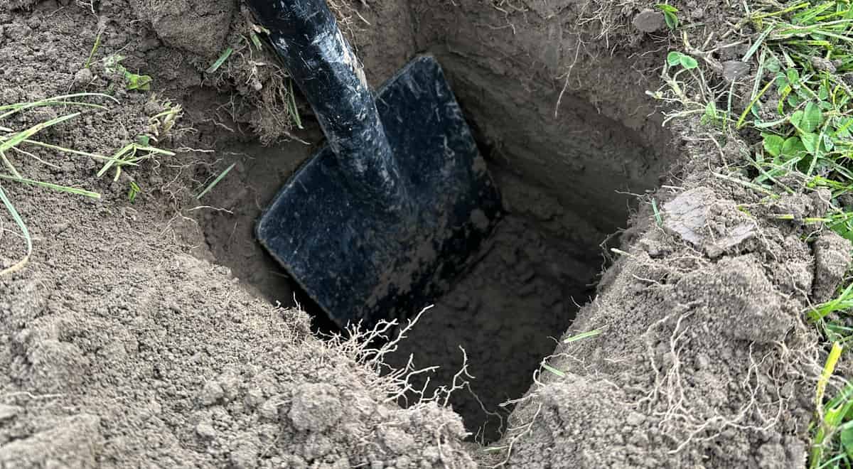 273b Diversion Road, Featherston, South Wairarapa - For Sale - realestate.co.nz