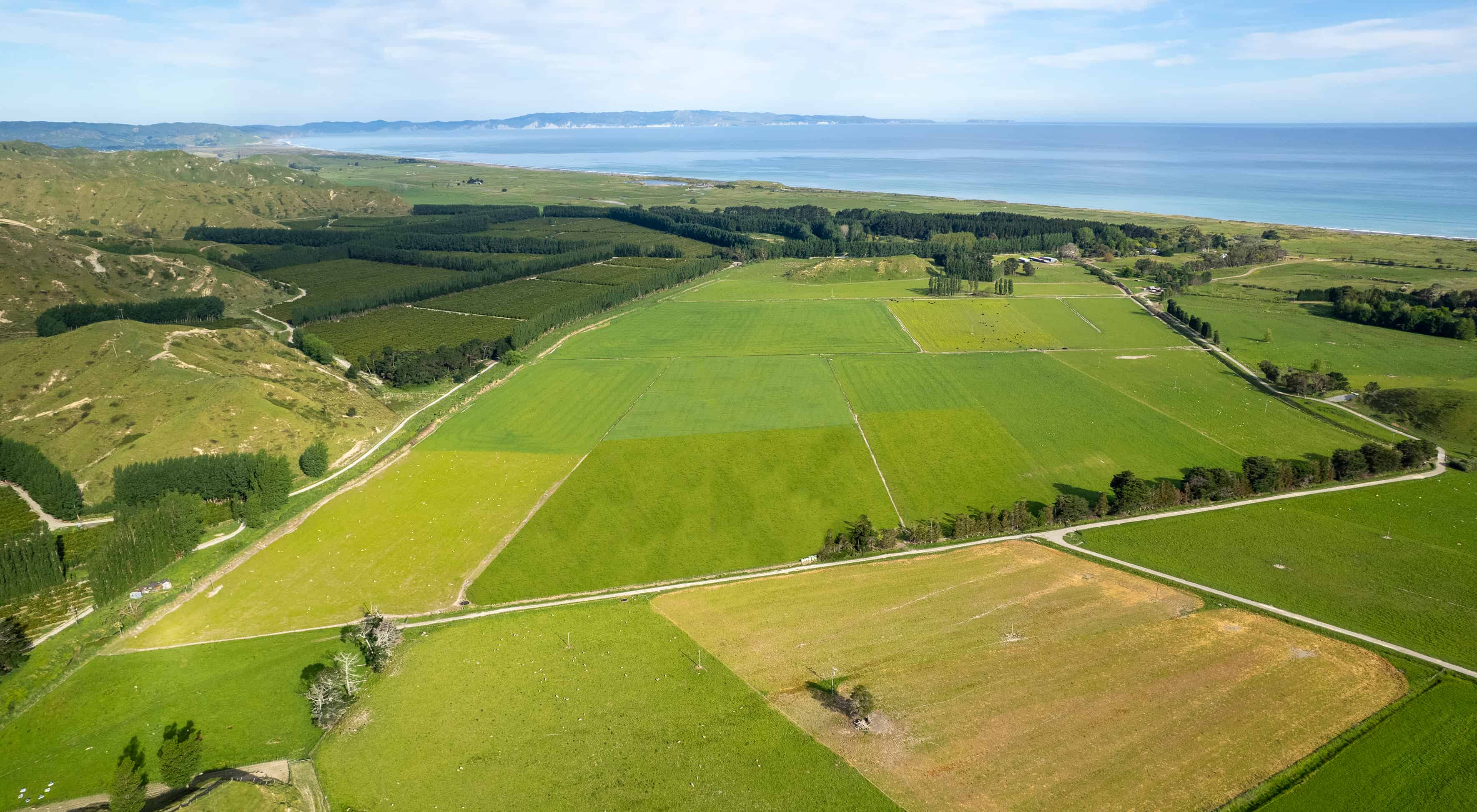 2225 State Highway 2, Whakaki, Wairoa - For Sale - realestate.co.nz