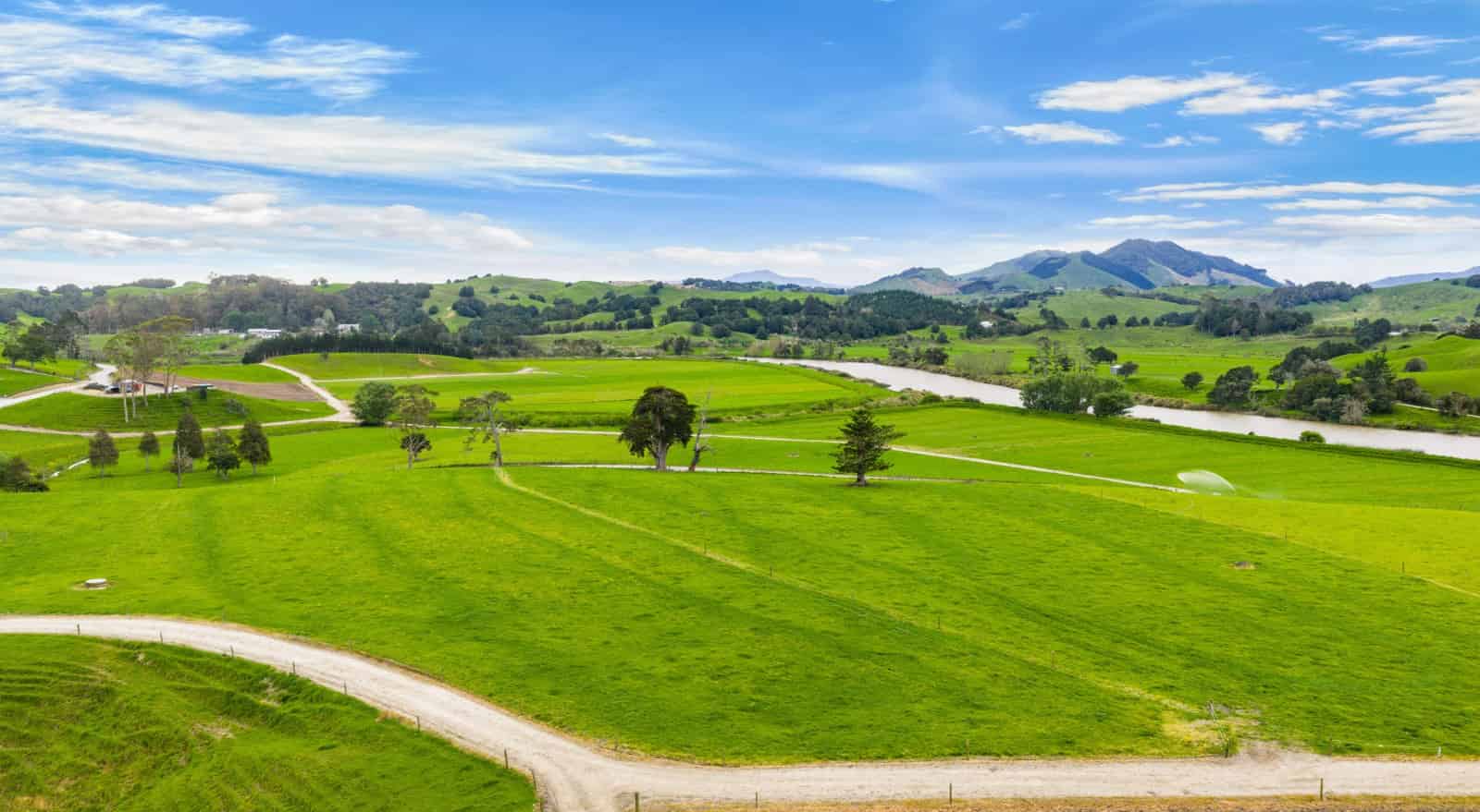 901 Pukehuia Road, Tangiteroria, Kaipara - For Sale - realestate.co.nz