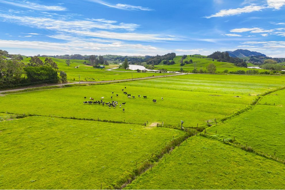 Omana Road, Tangiteroria, Kaipara - For Sale - realestate.co.nz