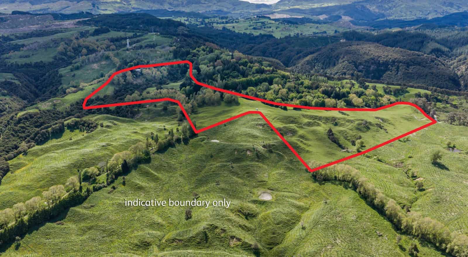 558 Old Coach Road, Te Pohue, Hastings - For Sale - realestate.co.nz