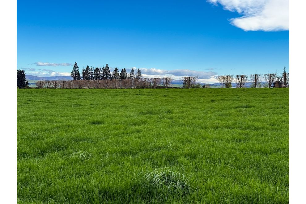 316 McDonald Road, Pukerau, Gore - For Sale - realestate.co.nz