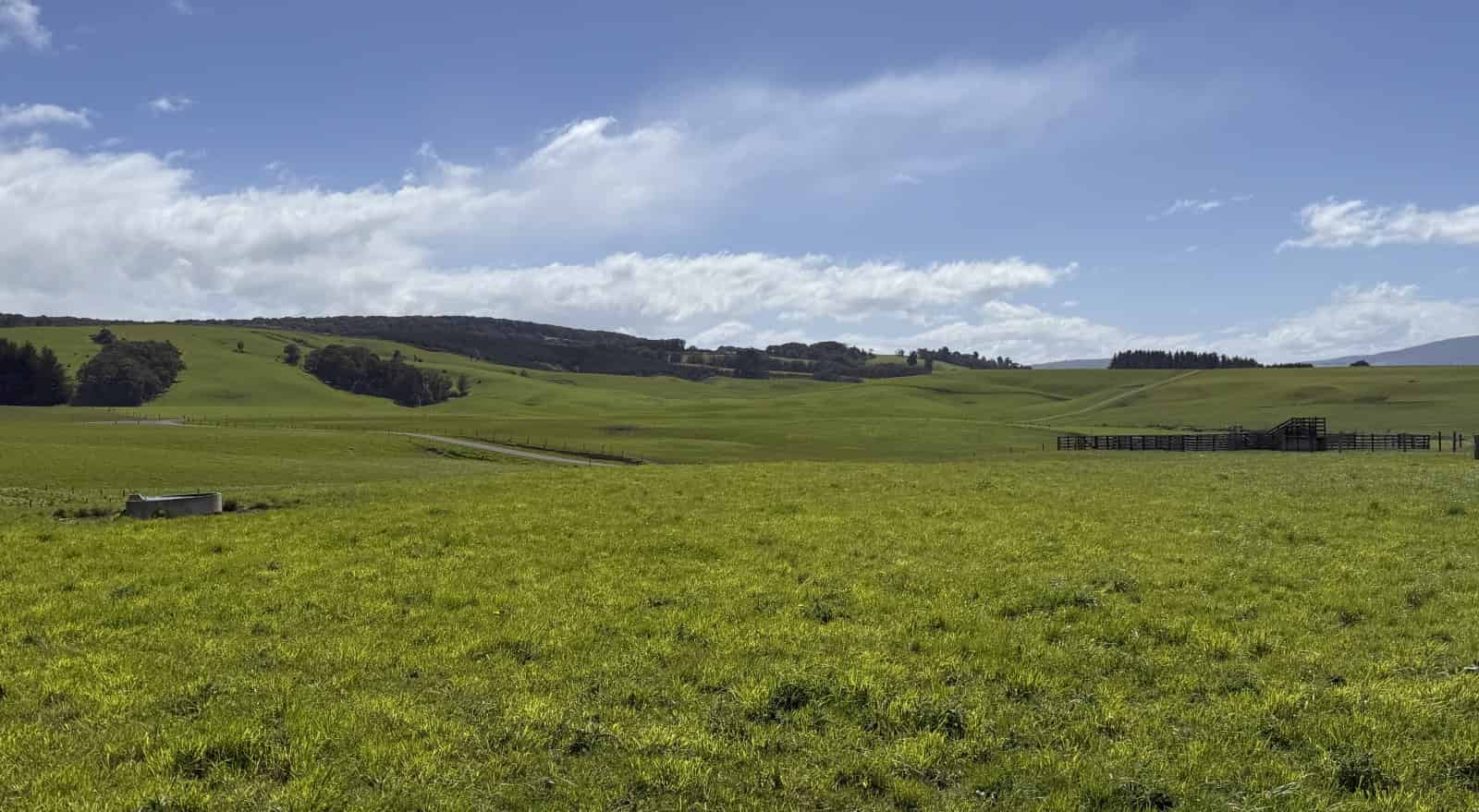 85 Allan Road, Otautau, Southland - For Sale - realestate.co.nz