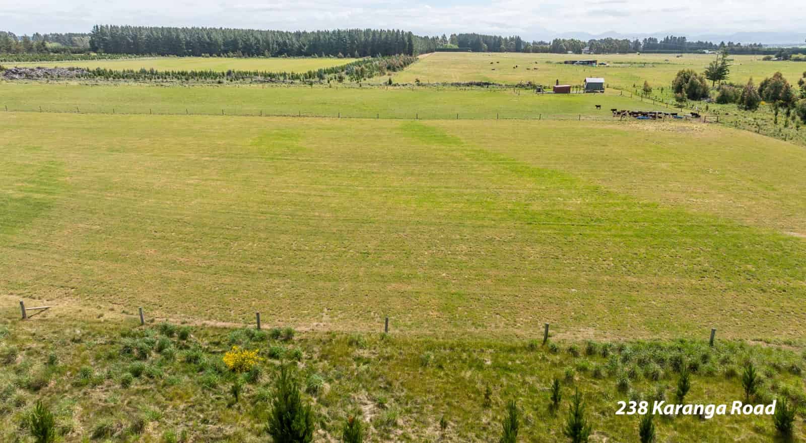 238 - 240 Karanga Road, Dunsandel, Selwyn - For Sale - realestate.co.nz