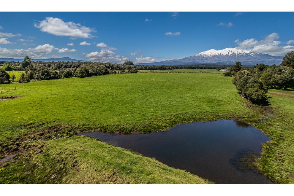 Lot 4, 136 Matapuna Road, Horopito, Ruapehu - For Sale - realestate.co.nz