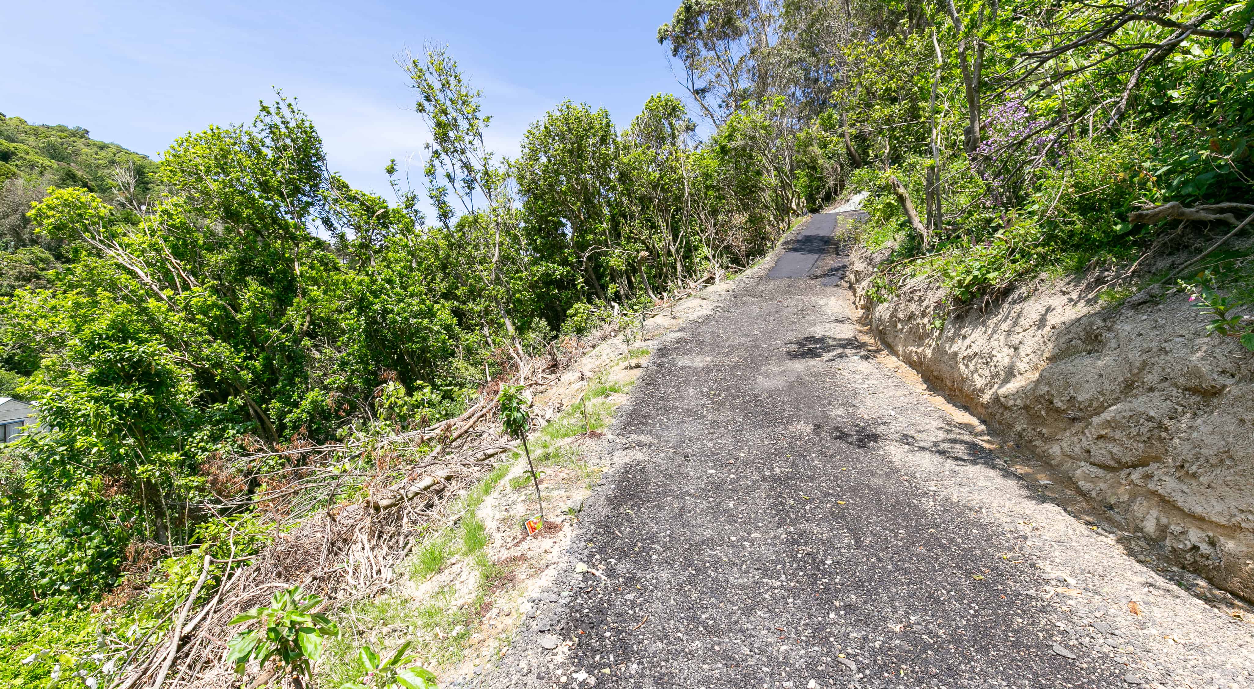 344 Ohiro Road, Brooklyn, Wellington City - For Sale - realestate.co.nz