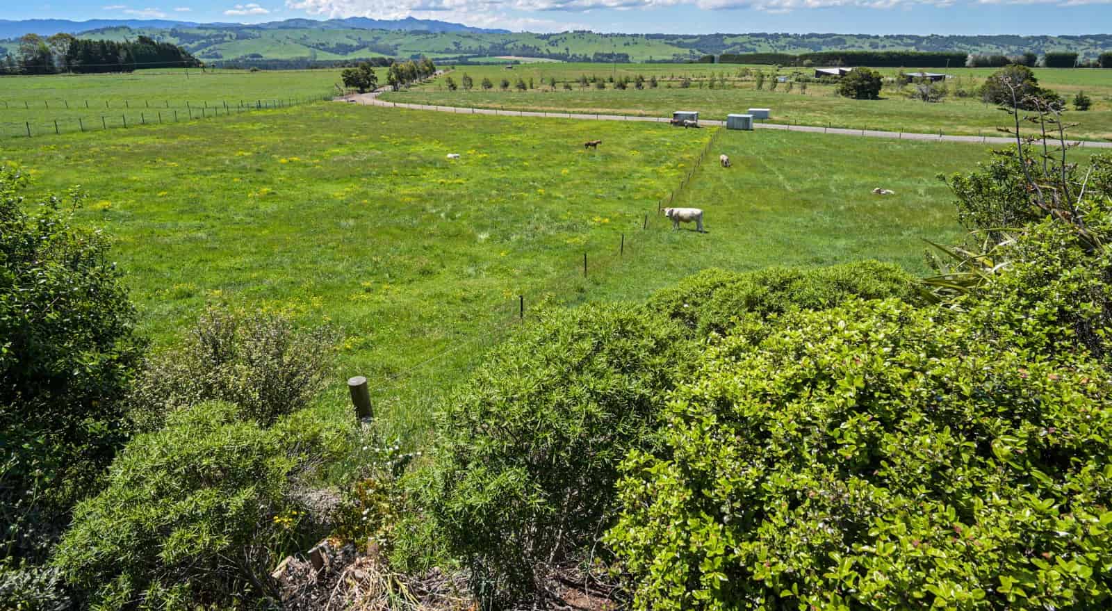 1483 Wakarara Road, Ongaonga, Central Hawkes Bay - For Sale ...