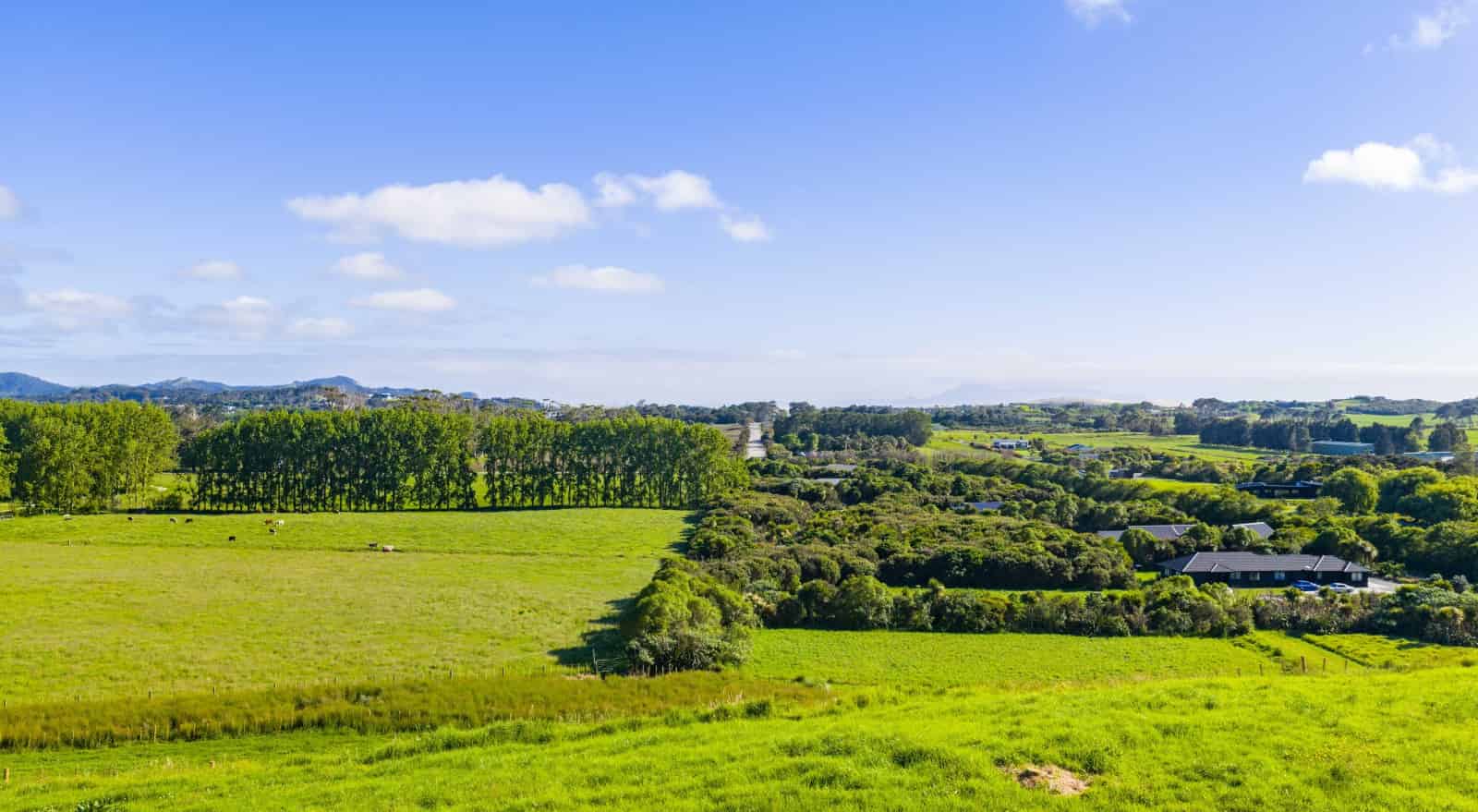 42 Ocean Sounds Place (Proposed Lots 4 and 5), Mangawhai, Kaipara - For ...