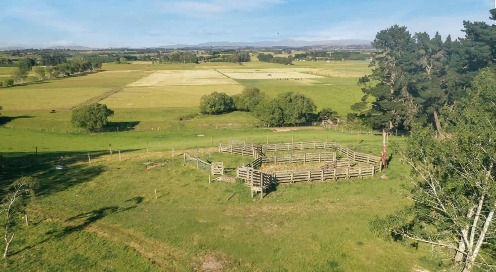 Timaru-Pleasant Point Highway, Taiko, Timaru - For Sale - realestate.co.nz