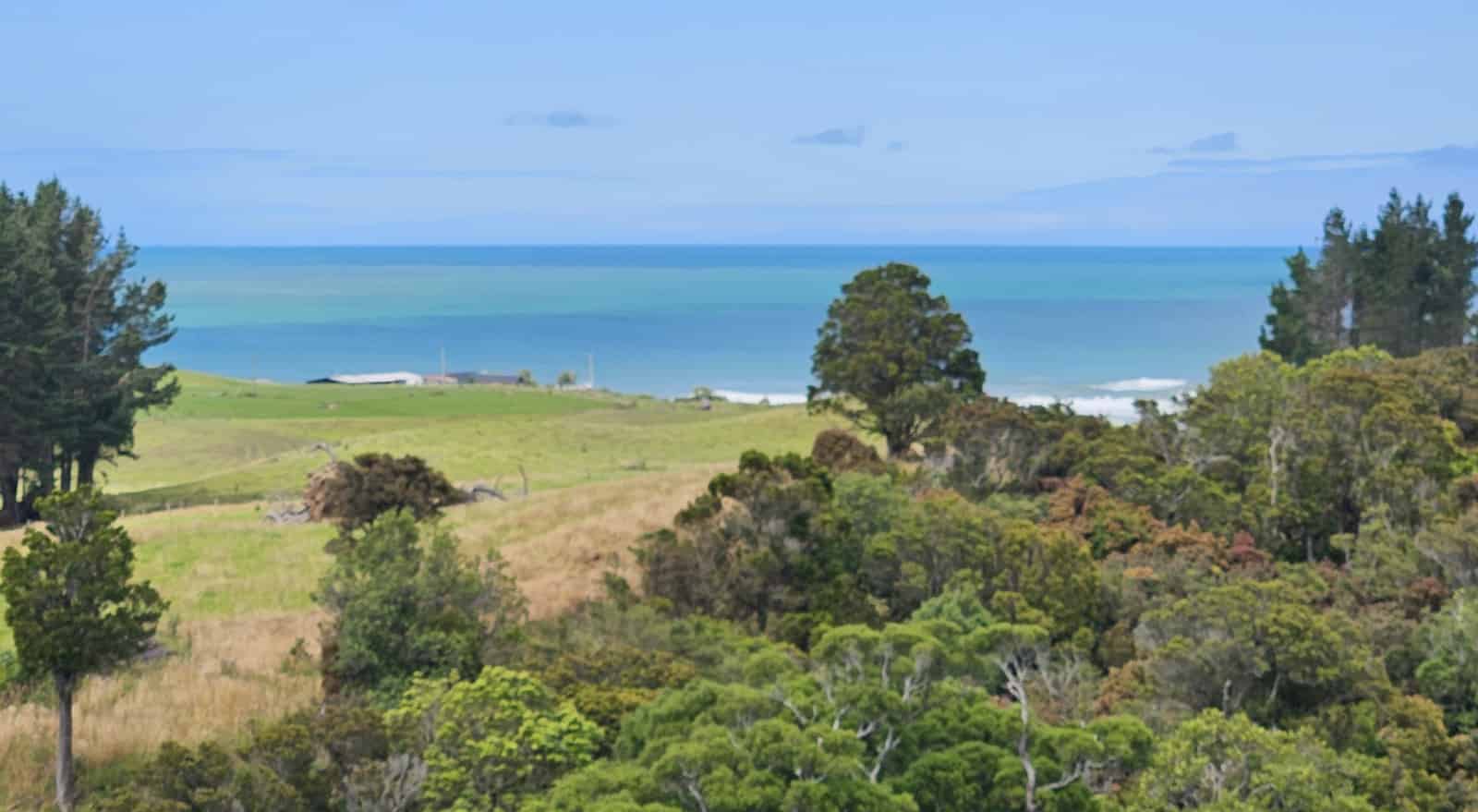61 Tinico Road, Kaka Point, Clutha - For Sale - realestate.co.nz