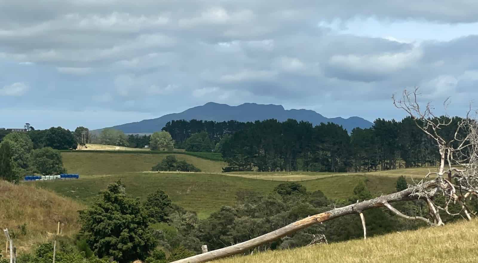 Lot 1, 2 & 4, 3054 State Highway 23, Raglan, Waikato - For Sale ...